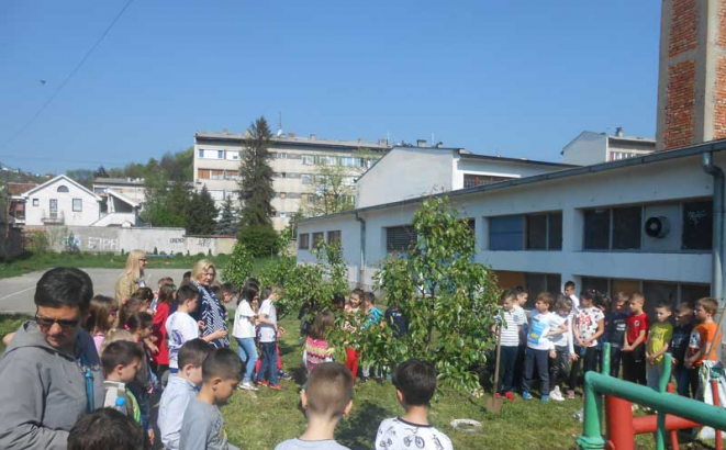 Učenici i učiteljice OŠ "Jovan Cvijić" opet za pohvalu - BLMojGrad